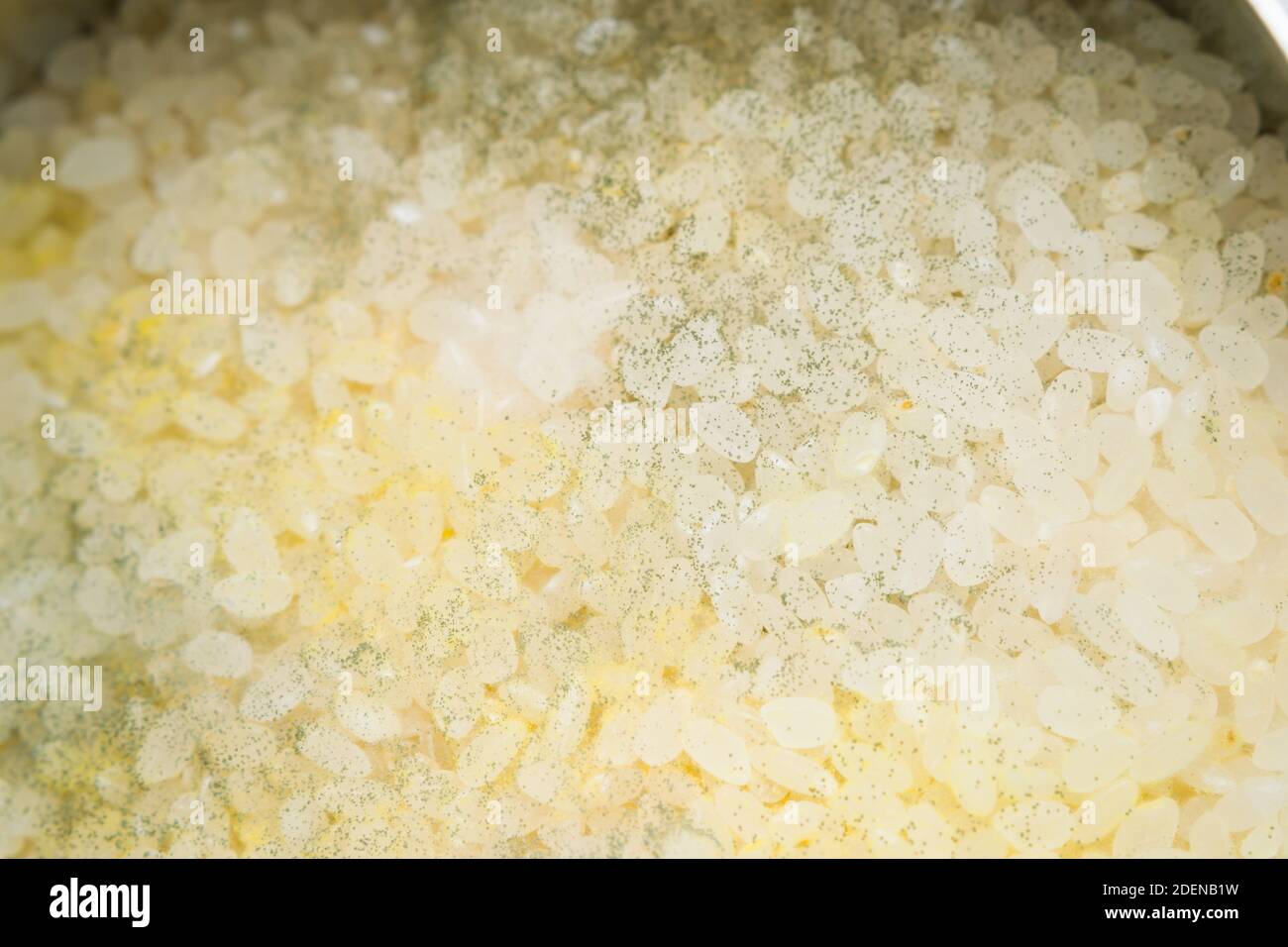 close-up photo of rice with fungus Stock Photo - Alamy