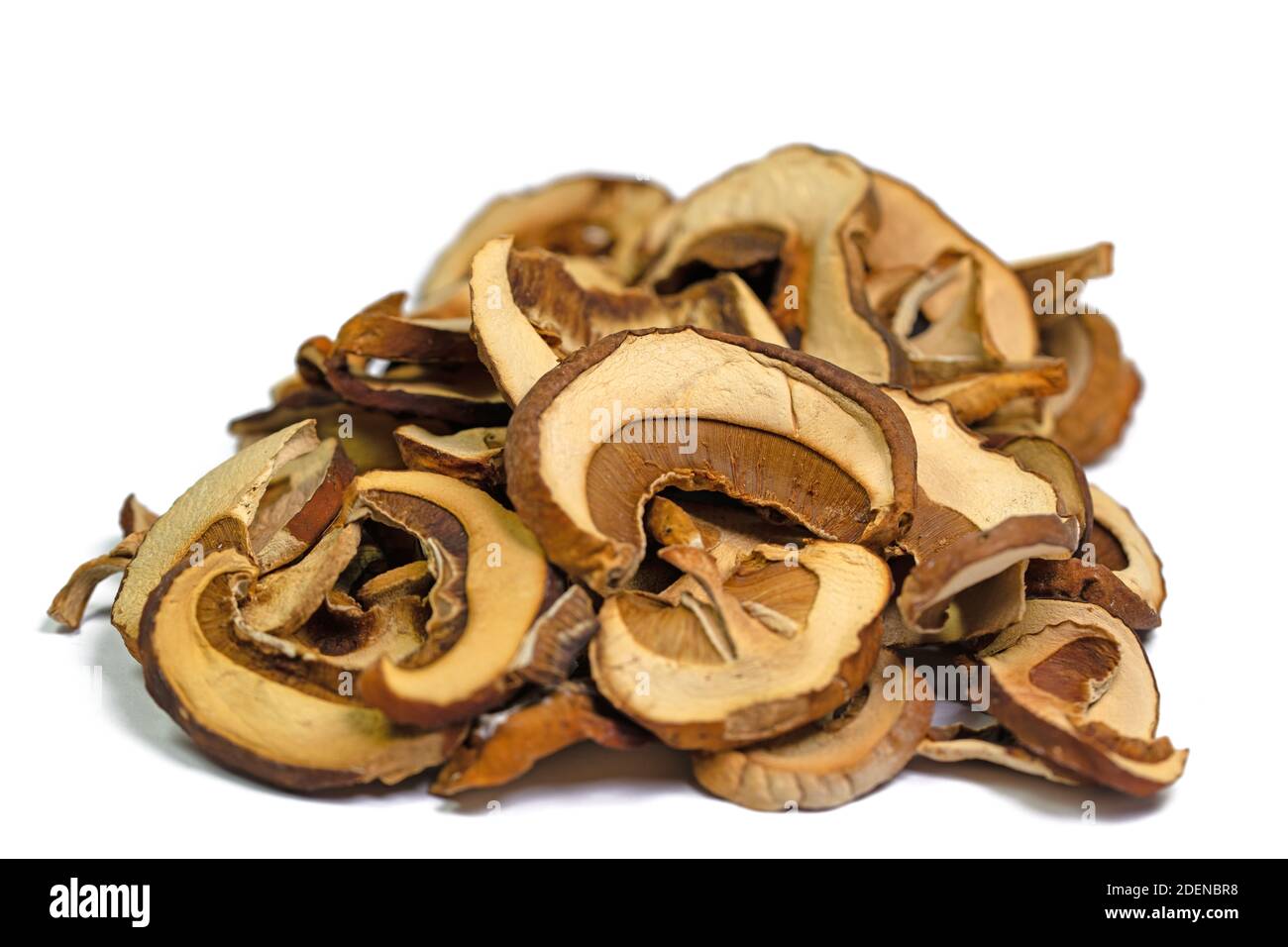 Close up in the forest Cut Out Stock Images & Pictures - Alamy