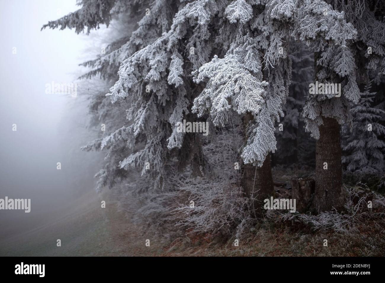 Dim weather hi-res stock photography and images - Alamy