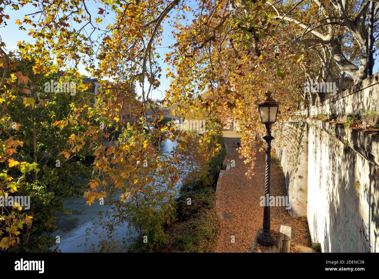 Trees italy hi-res stock photography and images - Alamy