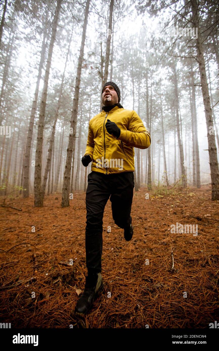 Handsome young man running in autumn forest and exercising for trail ...