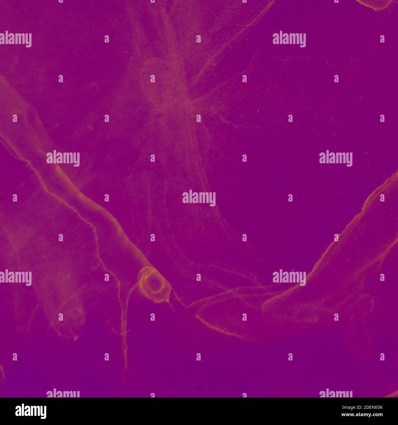 Alcohol ink light background. Ink colors are amazingly bright, luminous ...