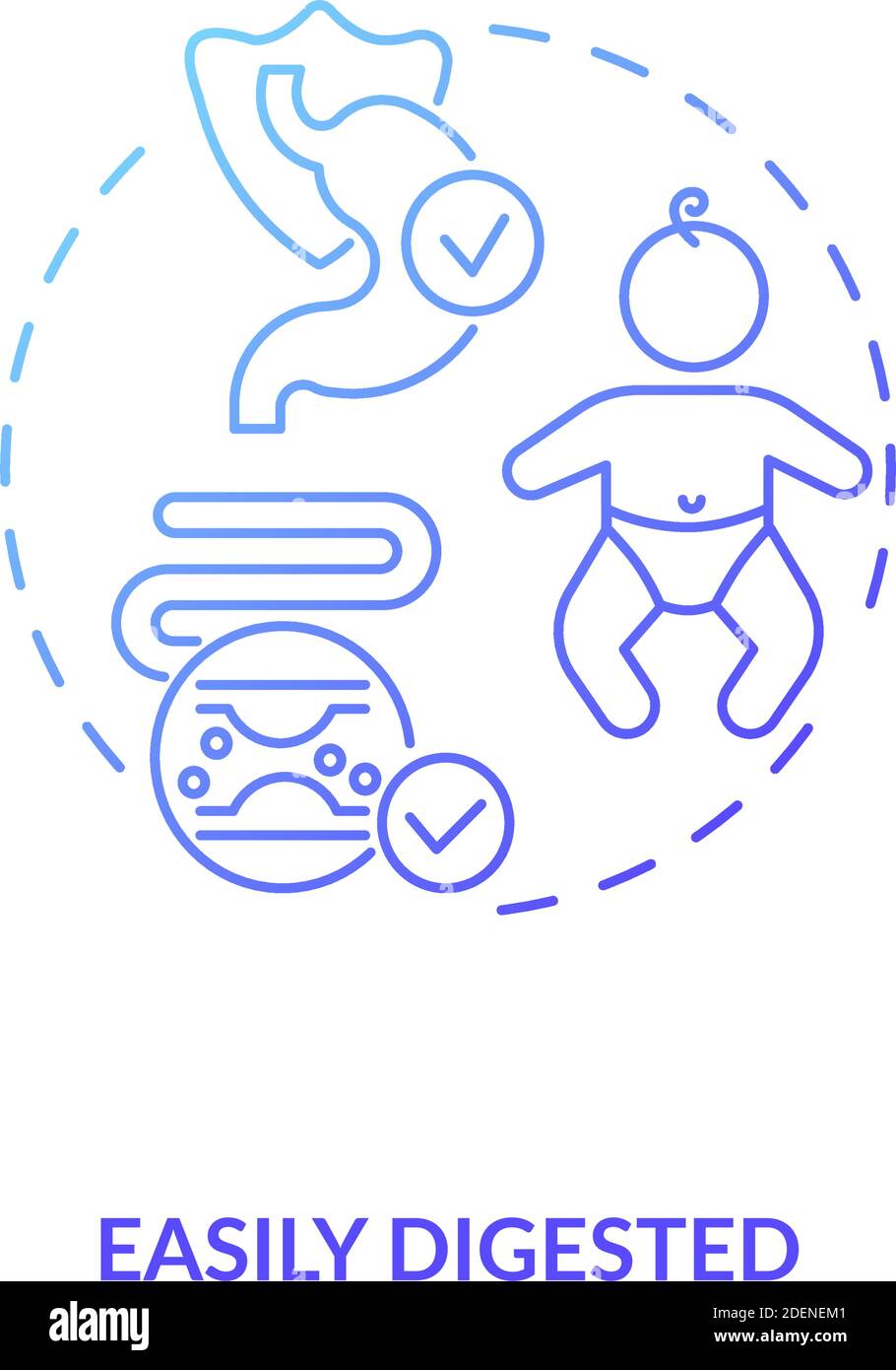 Easily digested concept icon Stock Vector Image & Art - Alamy