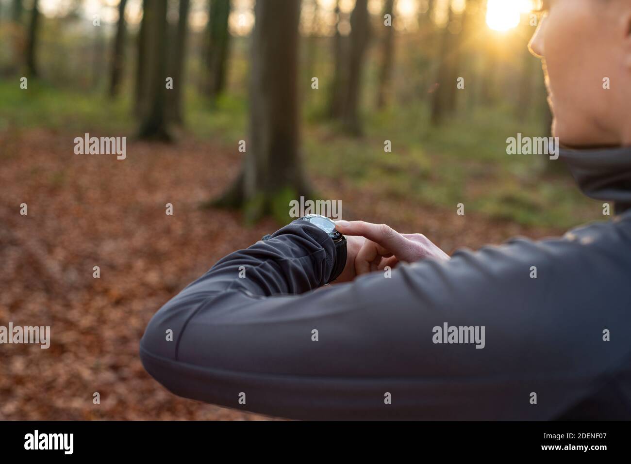 Woman checking her smartwatch while running through the woods Stock ...