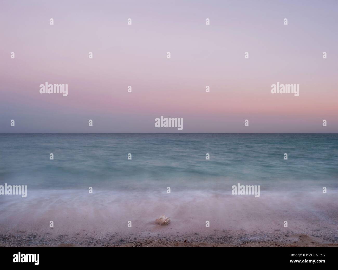 sunrise with shell on the beach a symbolic nature art design and ...
