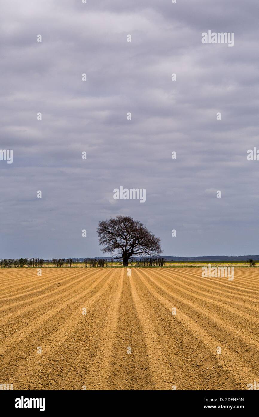 Furrows leading lines hi-res stock photography and images - Alamy