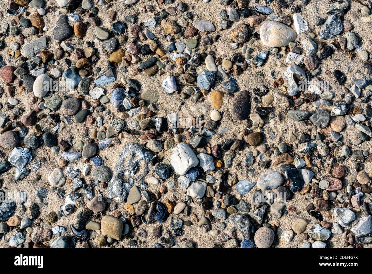 Beach texture with sand, stones, pebbles and shells. . High quality ...