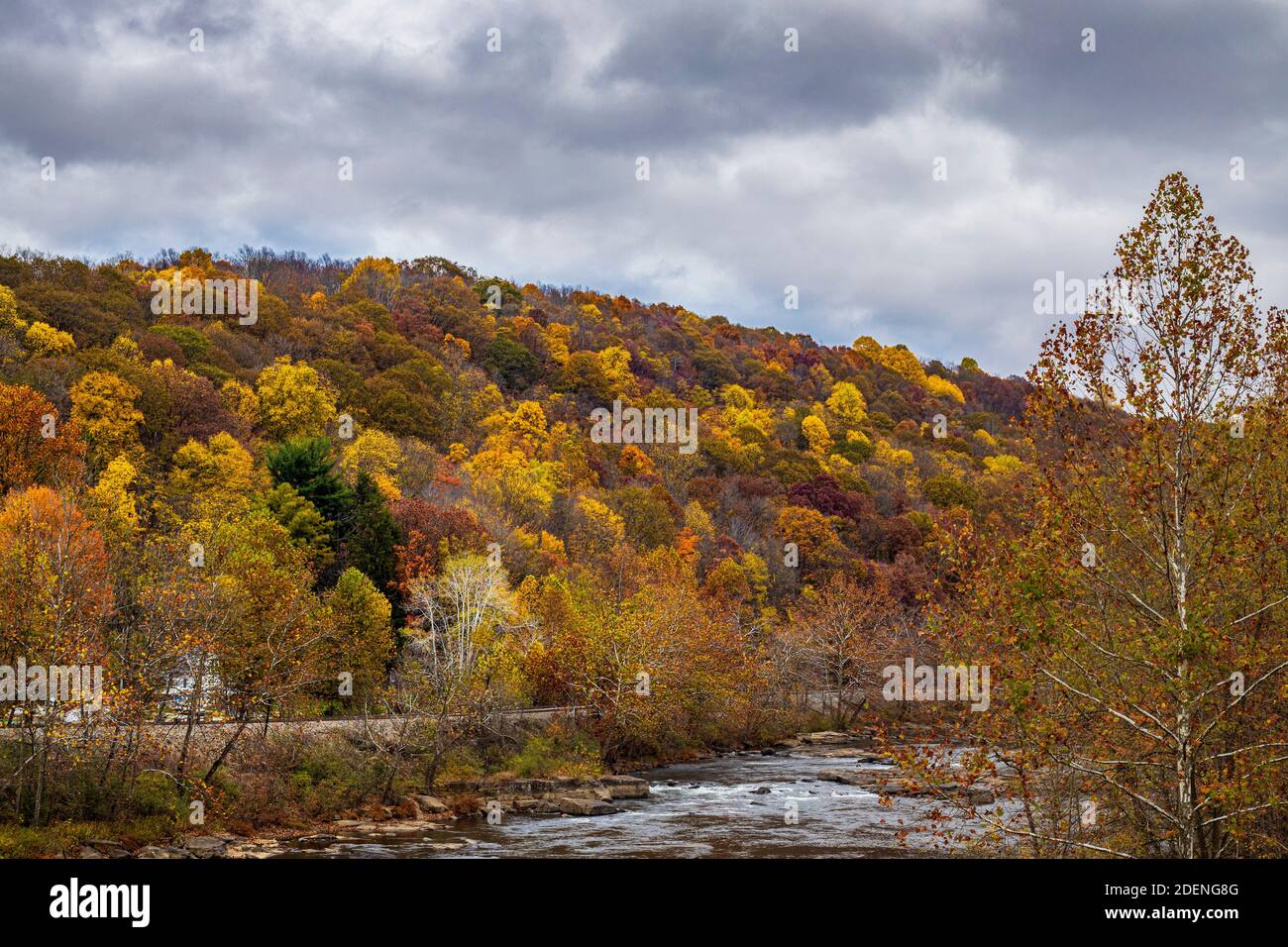 Hillside featuring bright bold colored trees and a river below Stock ...