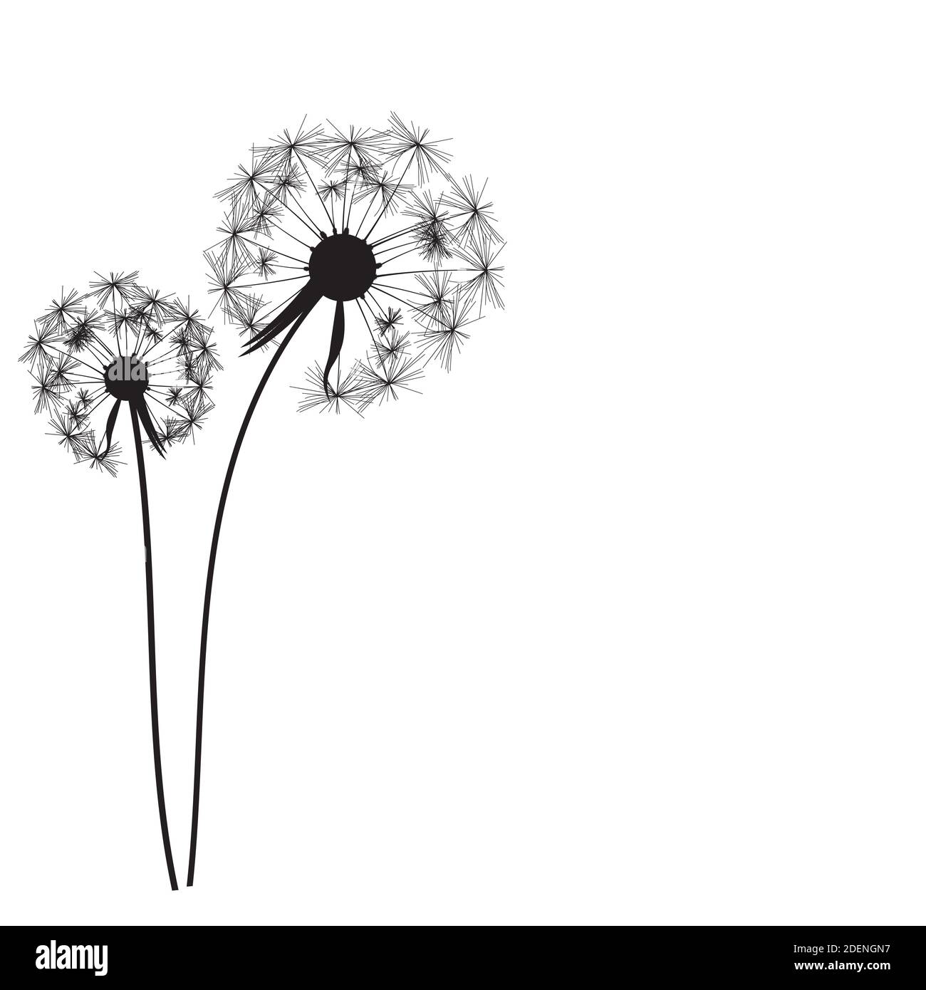 Abstract Dandelion Background Illustration Stock Photo - Alamy