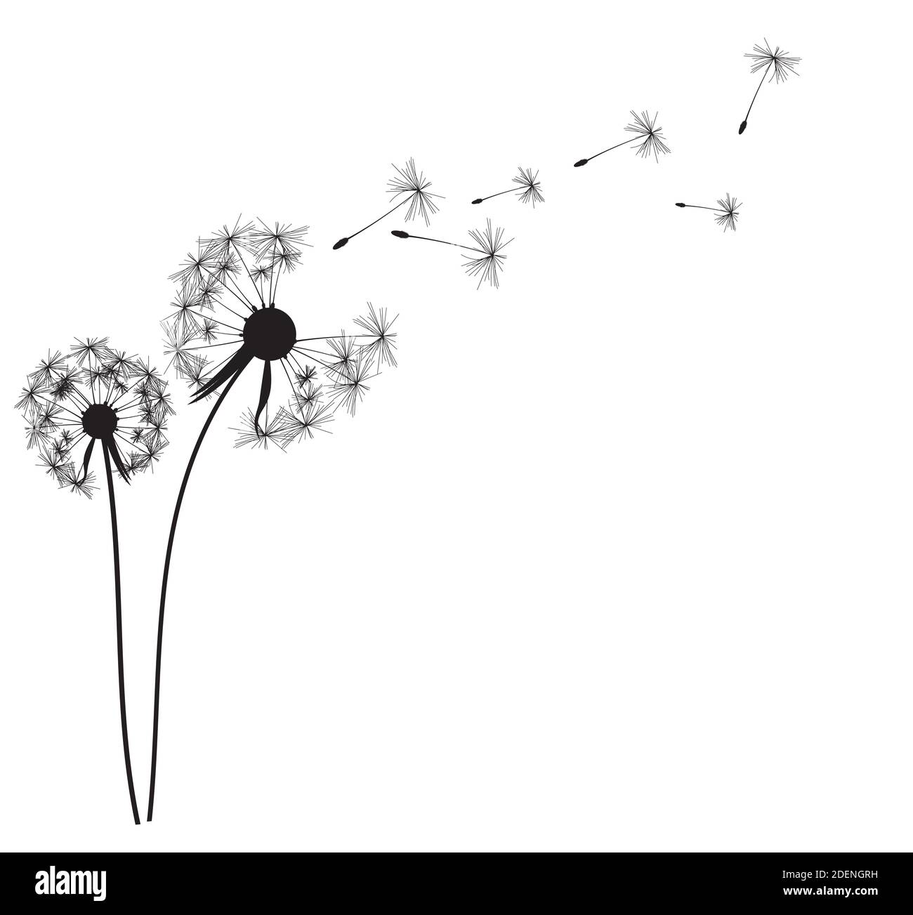 Abstract Dandelion Background Illustration Stock Photo - Alamy