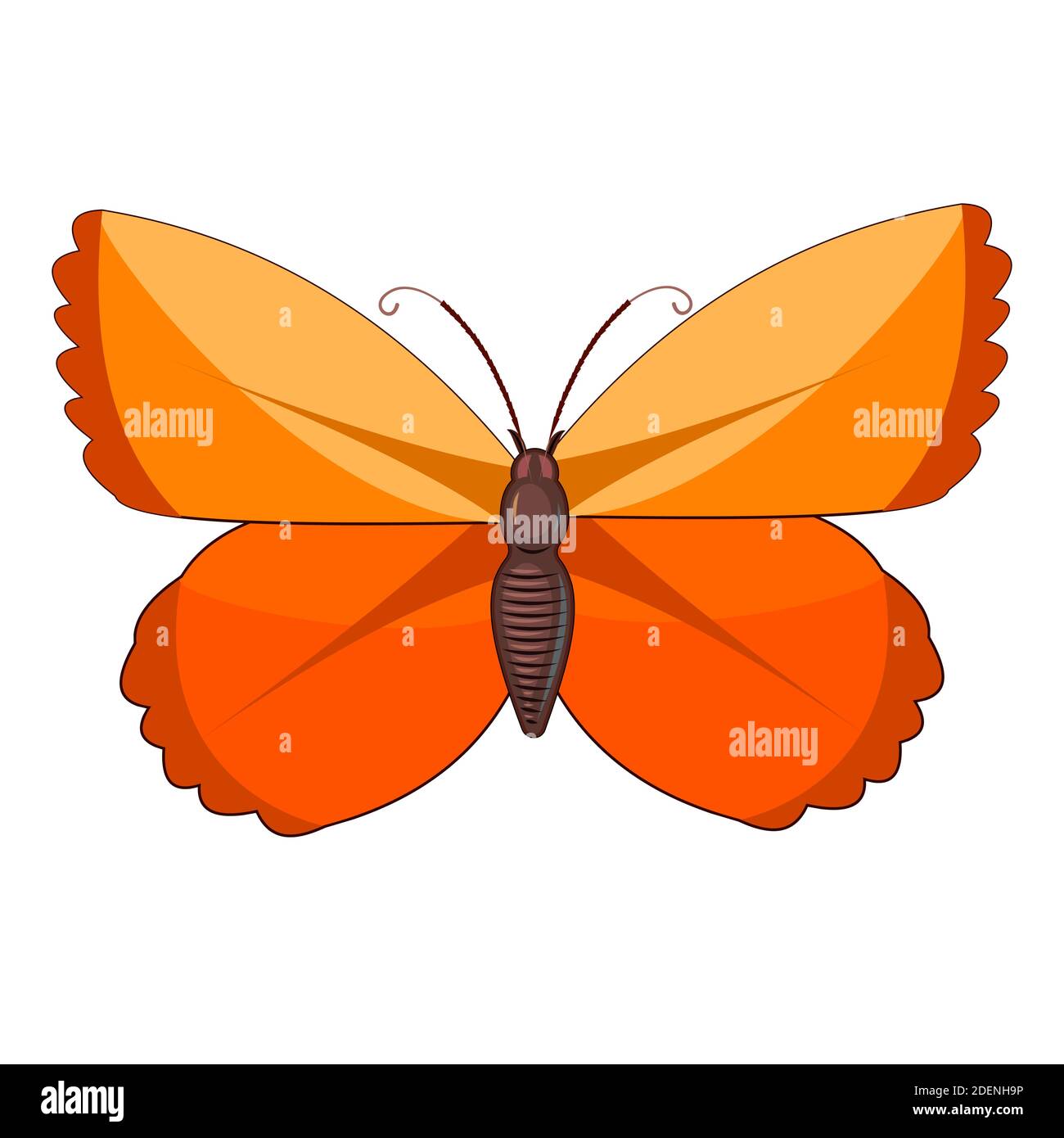 Orange butterfly. Bright beautiful composition. Isolated object on ...