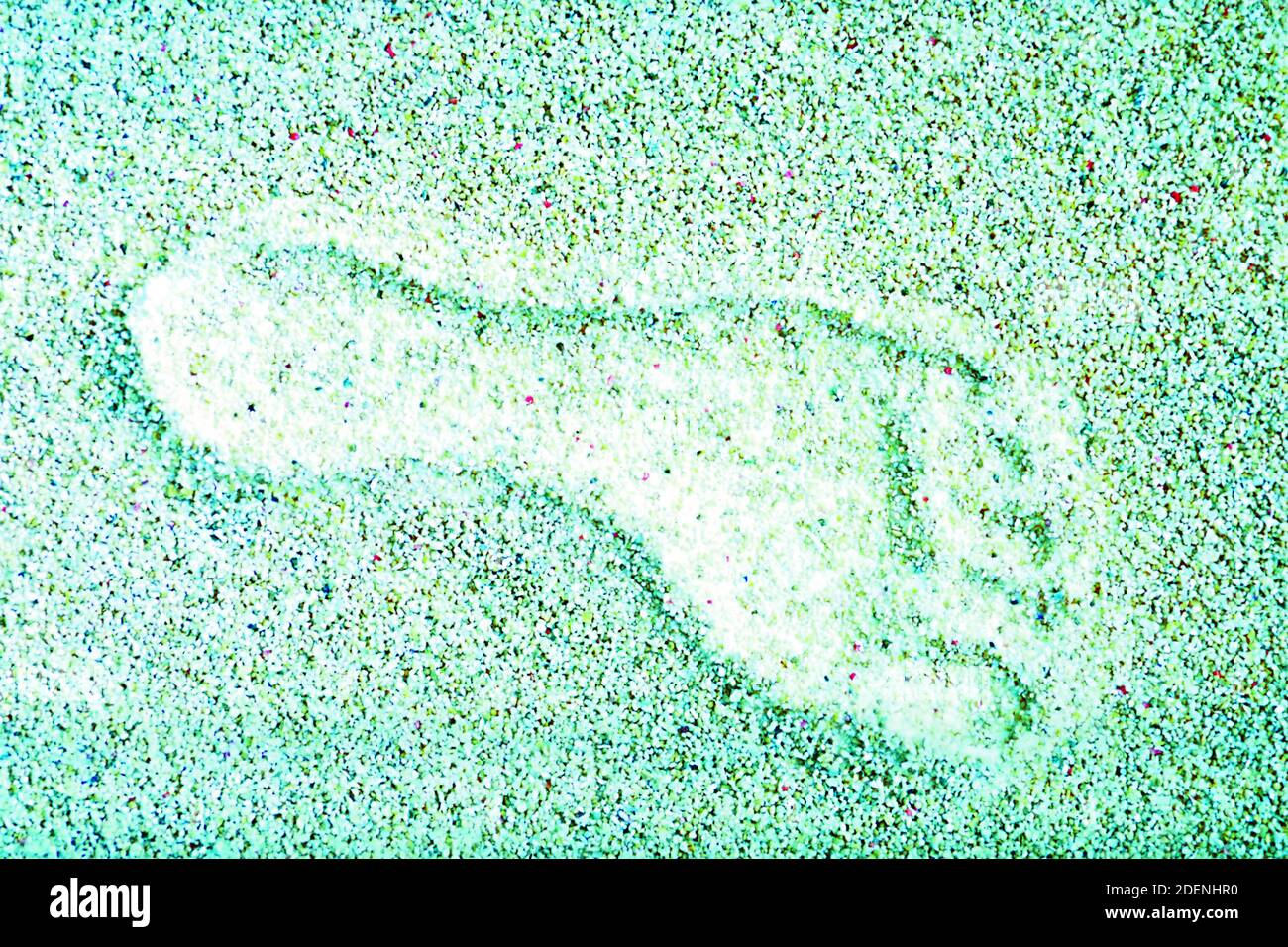 Footprint in the sand. Left foot mark an adult in dry sand. close up ...
