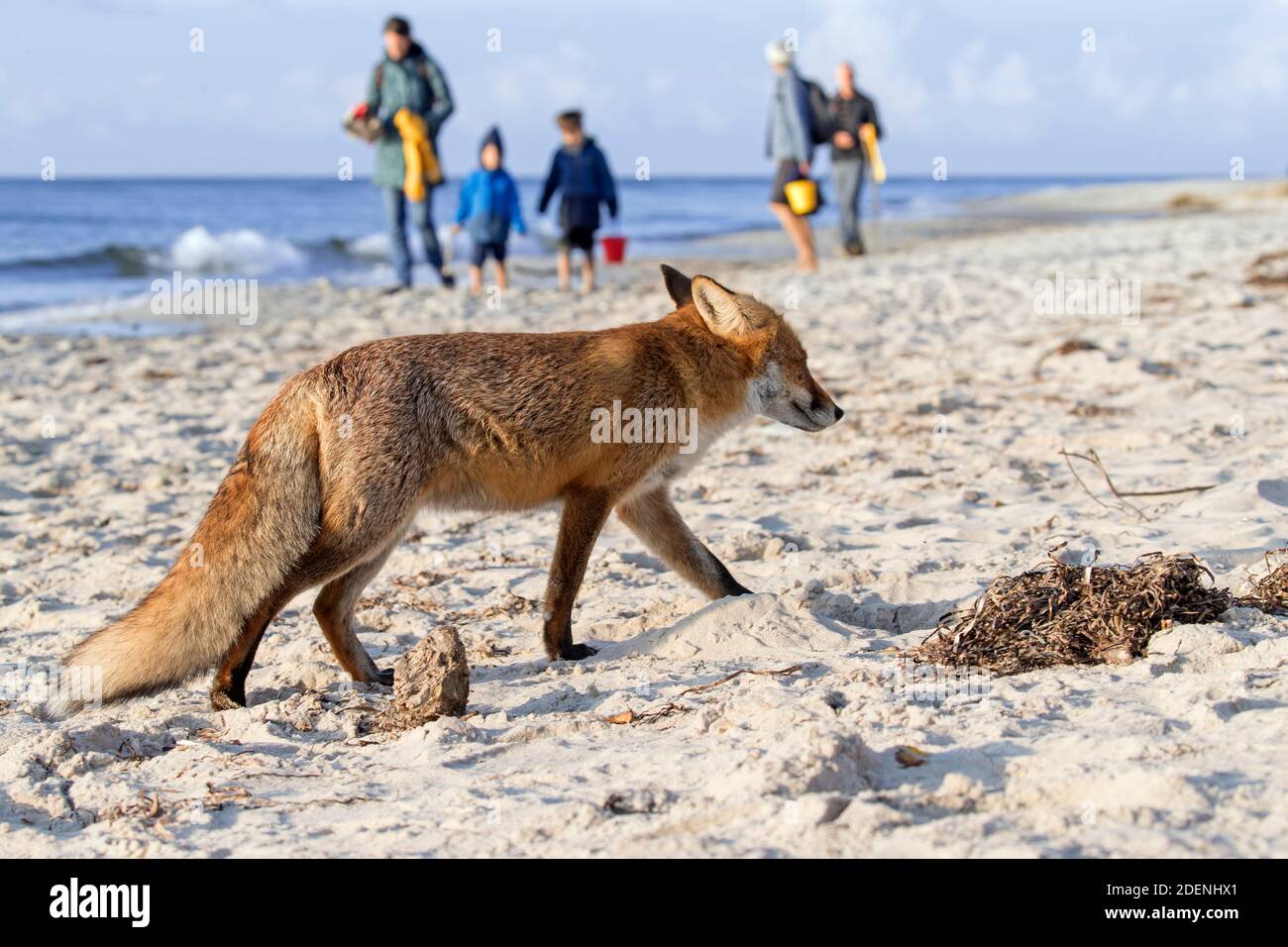 Humans behavior hi-res stock photography and images - Alamy