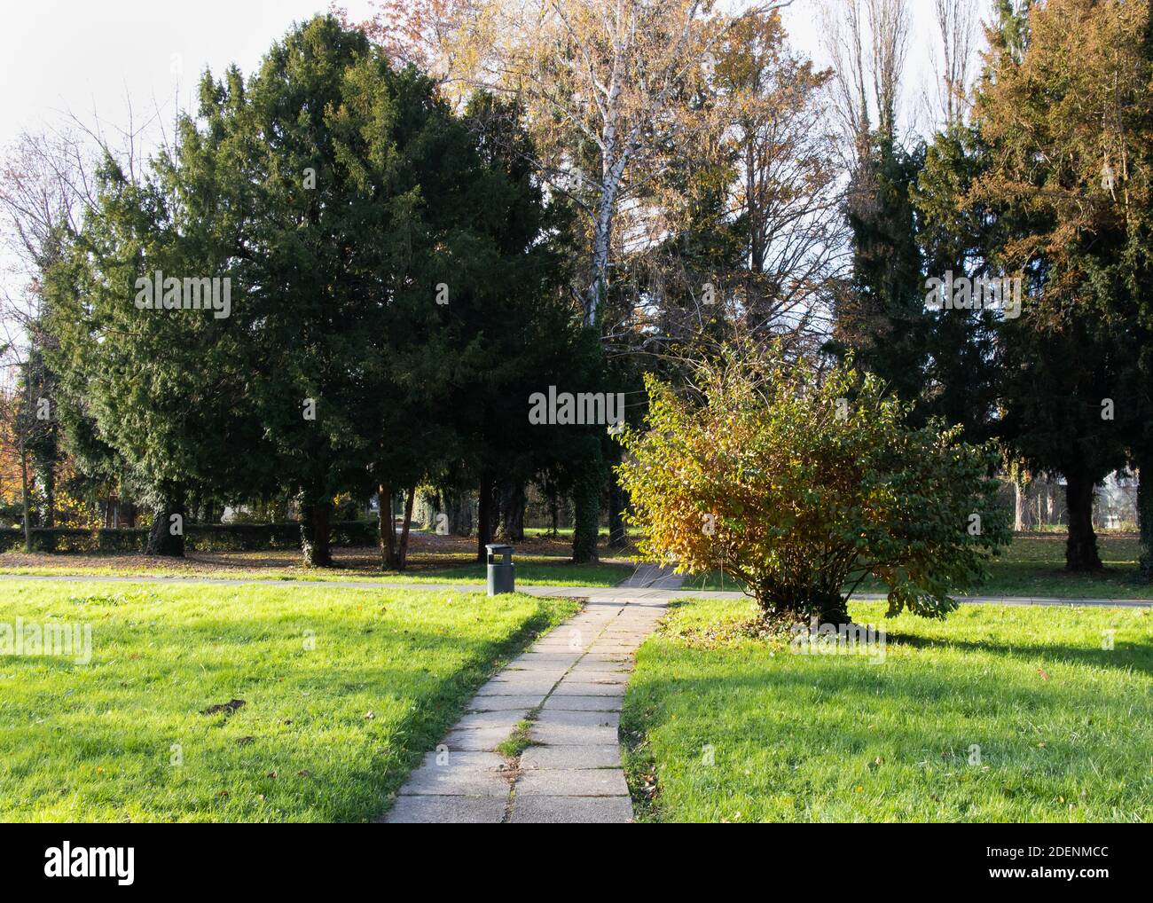Landscape photograph of a park Stock Photo - Alamy