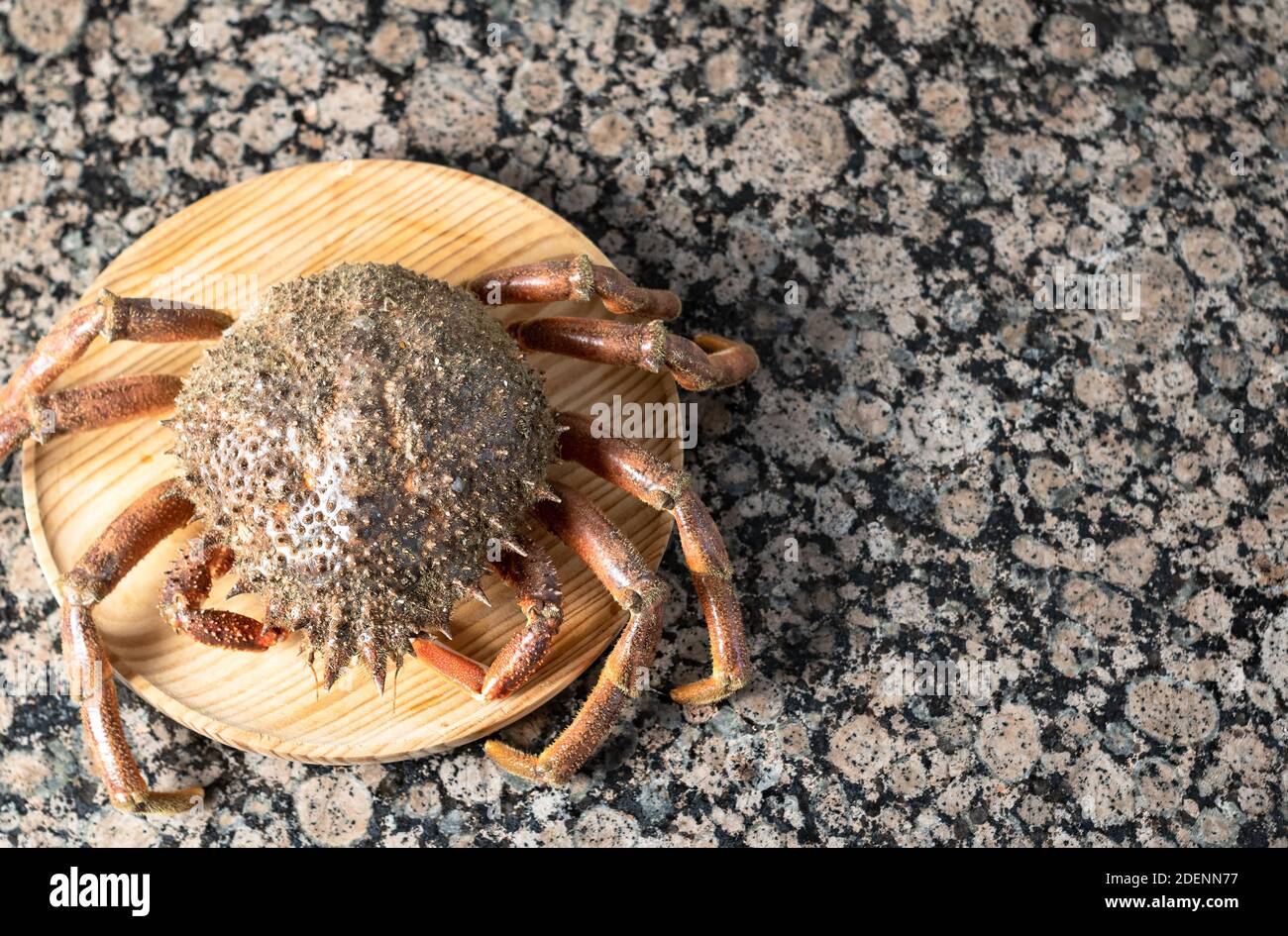Crab top view hi-res stock photography and images - Alamy