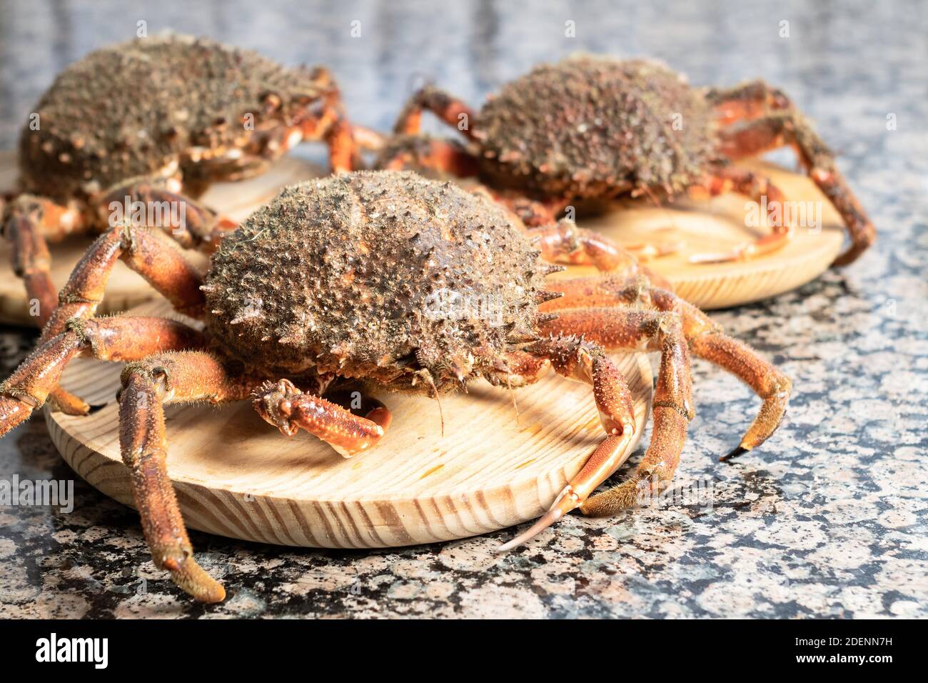 Crabs close up on top of wooden plates. Seafood in the foreground Stock ...