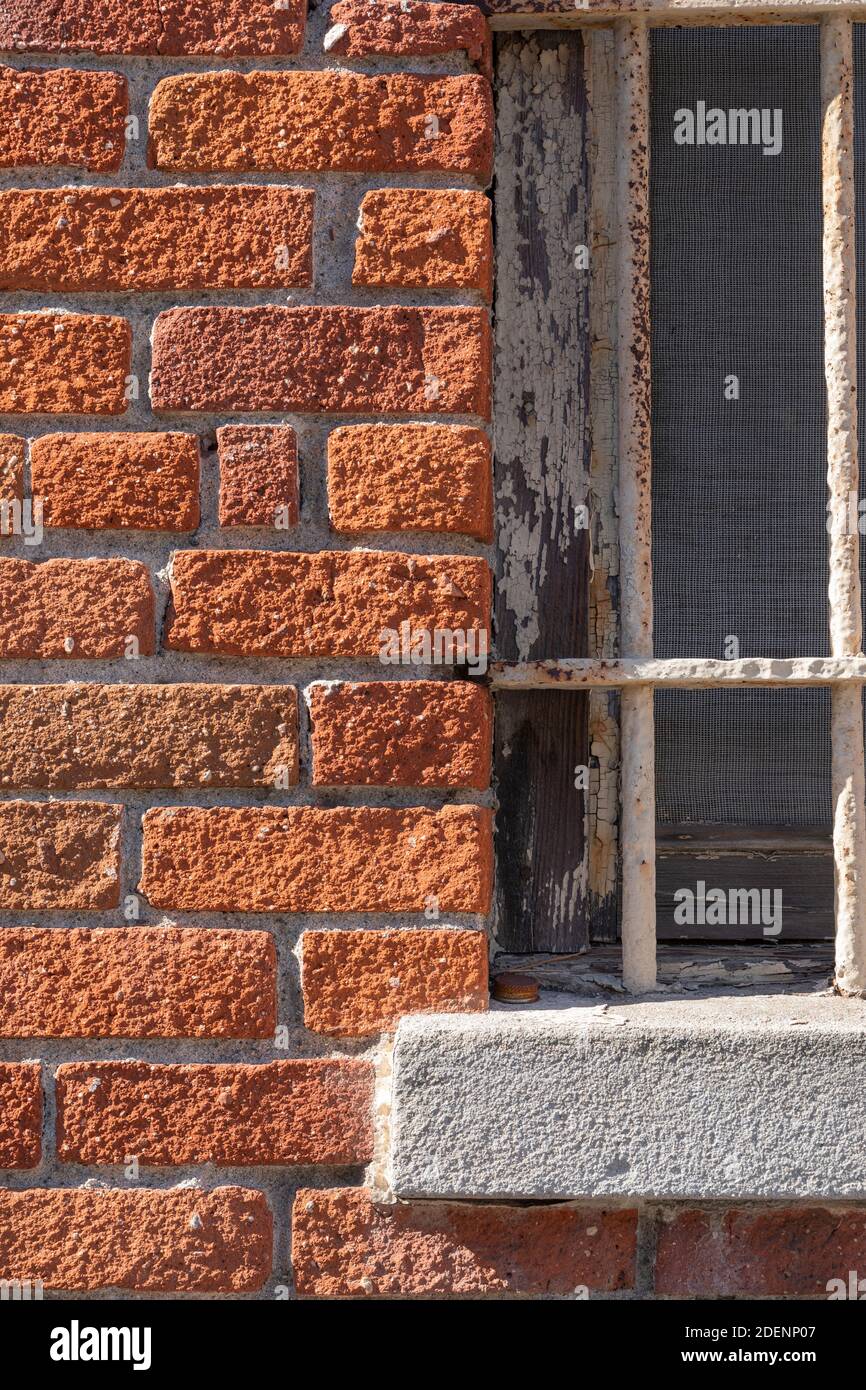 A vertical close-up image of an old, white, barred window, with morning ...