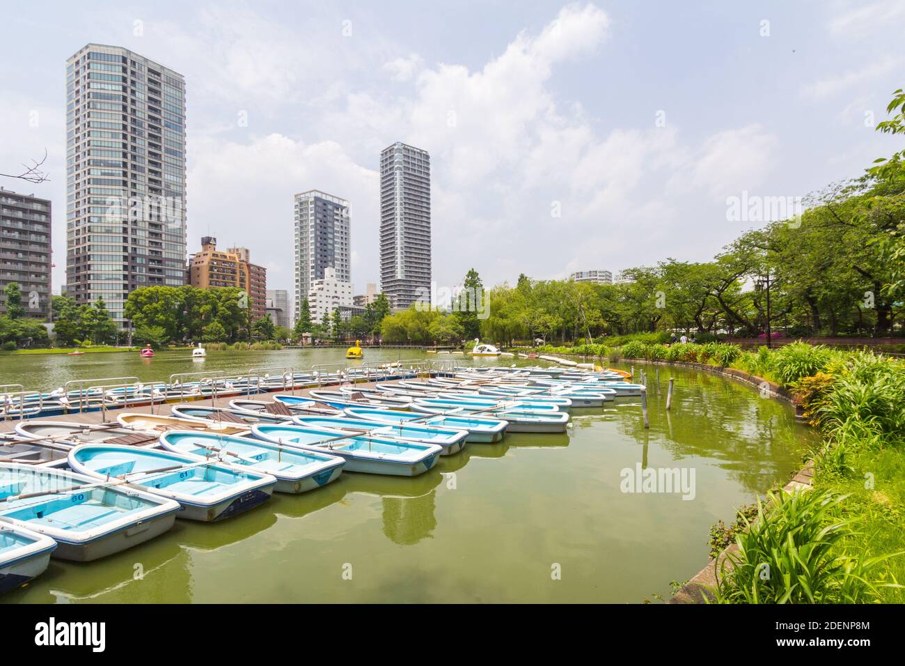 Boats at the Shinobazu Pond in Tokyo, Japan Stock Photo - Alamy
