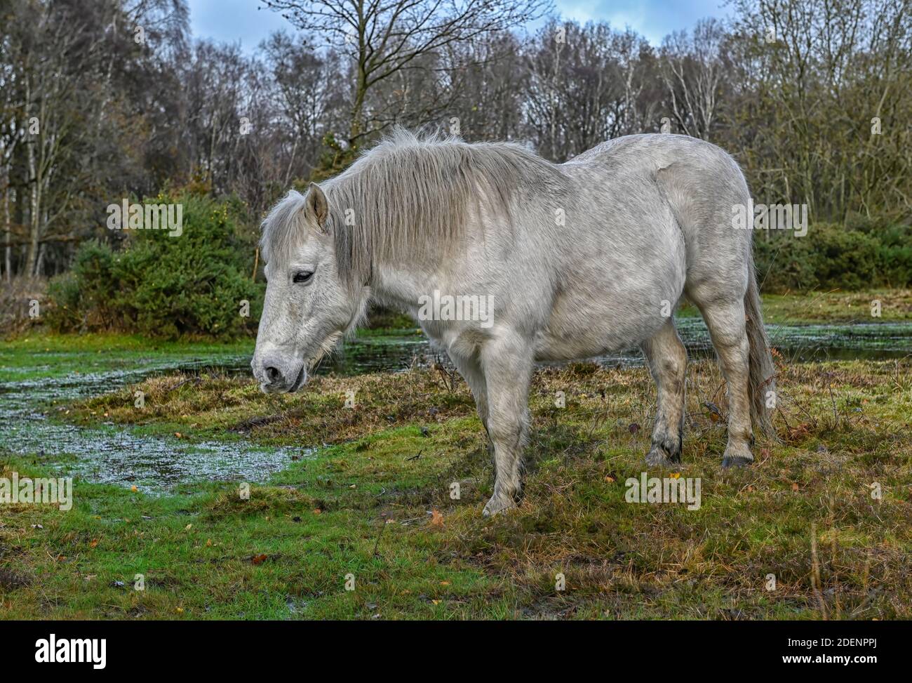 Litcham norfolk hi-res stock photography and images - Alamy