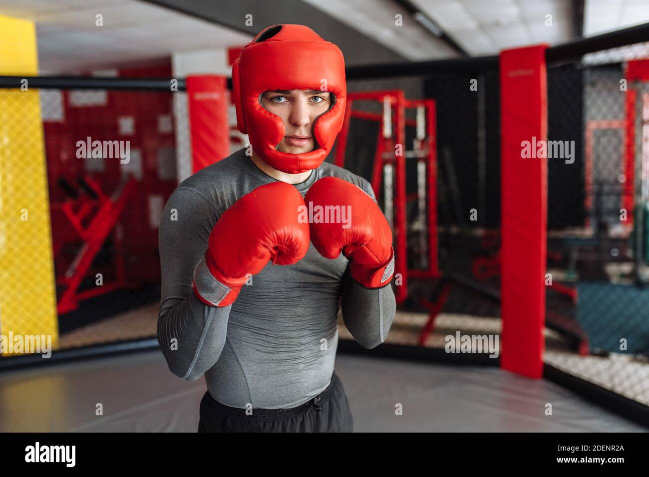 Fighting without rules hi-res stock photography and images - Alamy