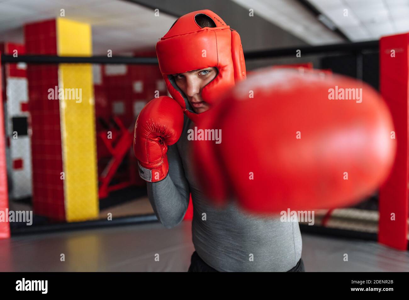 Male boxer engaged in training in the gym, in a cage for a fight ...