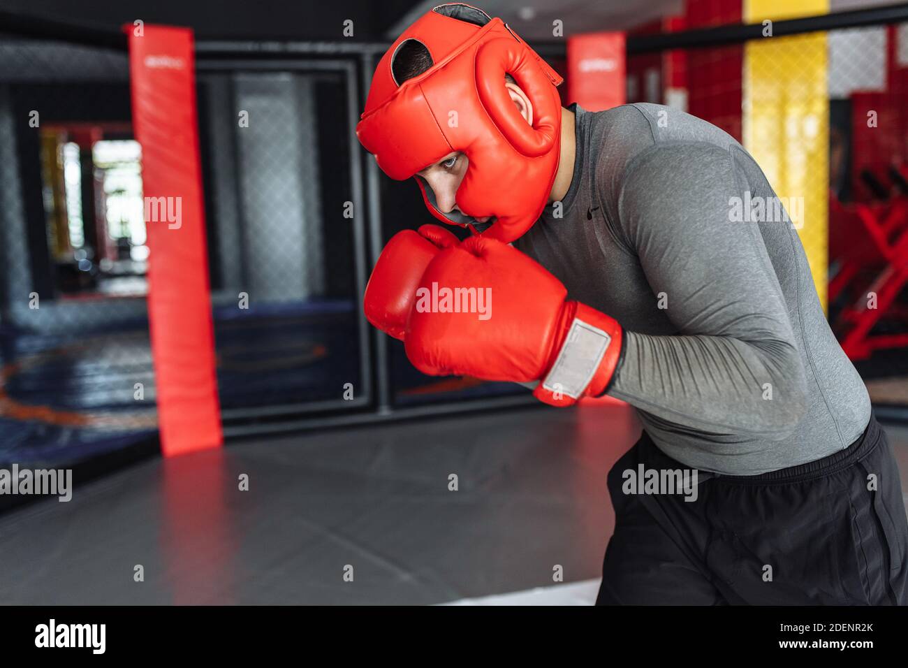 Fighting without rules hi-res stock photography and images - Alamy