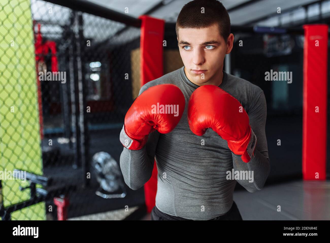 Fighting without rules hi-res stock photography and images - Alamy