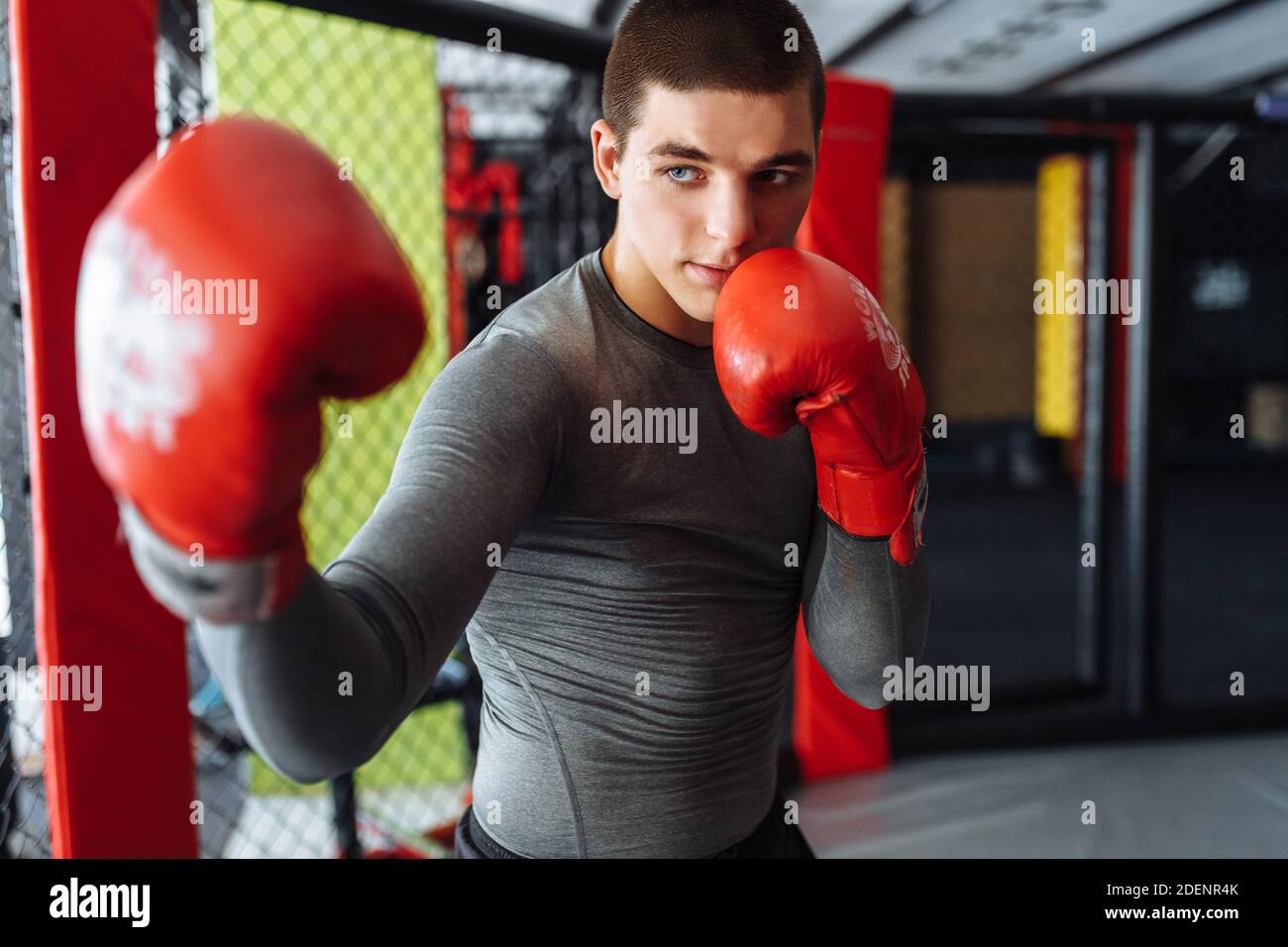 Male boxer engaged in training in the gym, in a cage for a fight ...