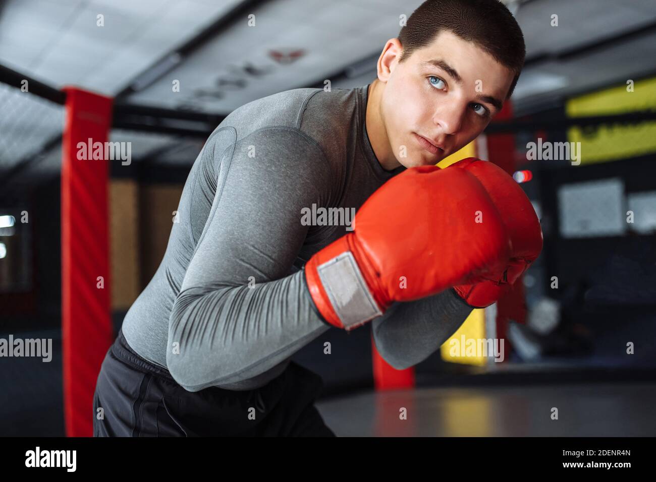 Male boxer engaged in training in the gym, in a cage for a fight ...