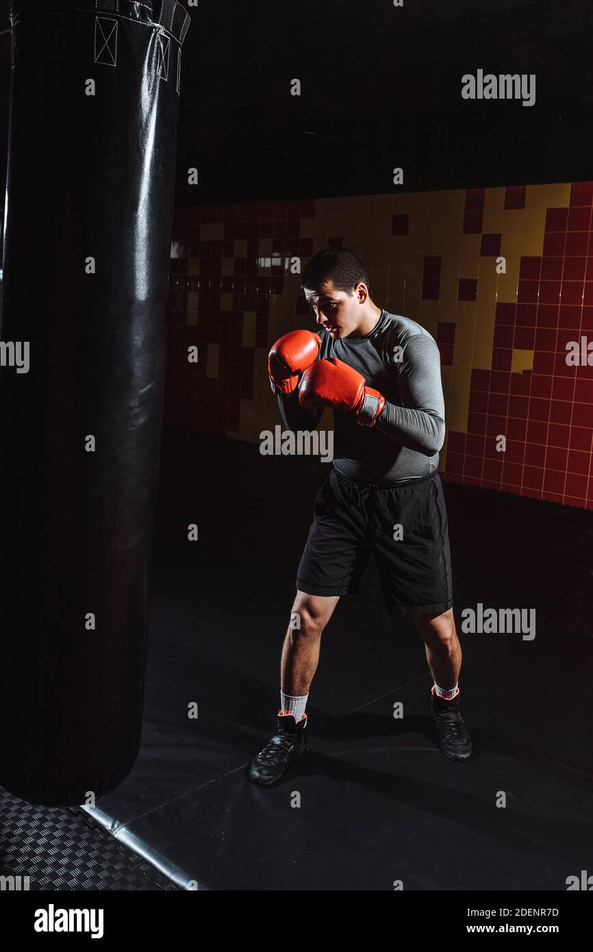Boxer hits a speed bag in the gym Stock Photo - Alamy