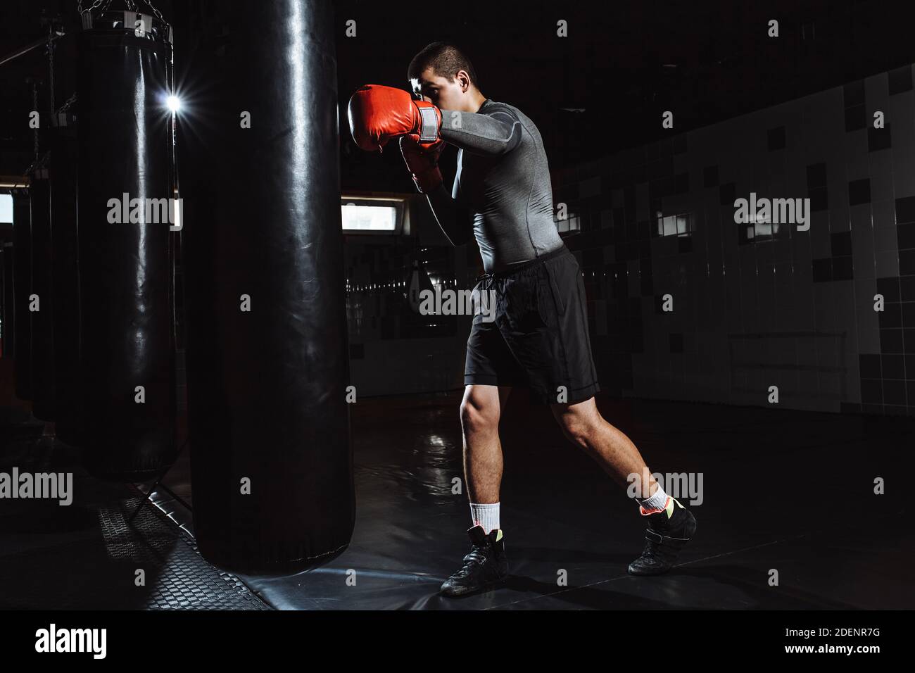 Boxer hits a speed bag in the gym Stock Photo - Alamy