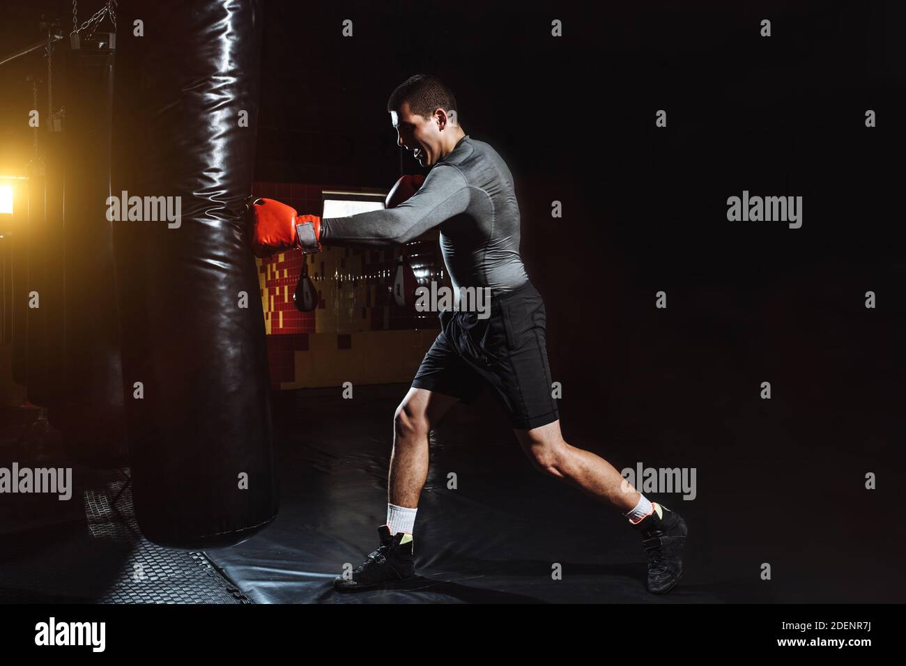 Boxer hits a speed bag in the gym Stock Photo - Alamy