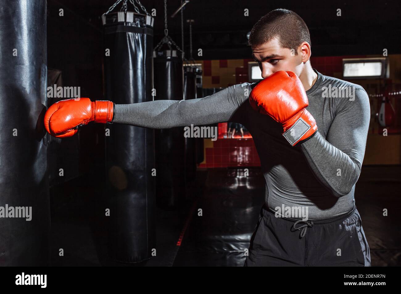 Boxer hits a speed bag in the gym Stock Photo - Alamy