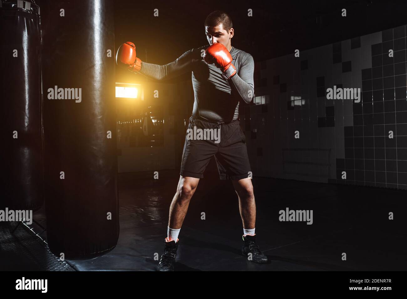 Boxer hits a speed bag in the gym Stock Photo - Alamy