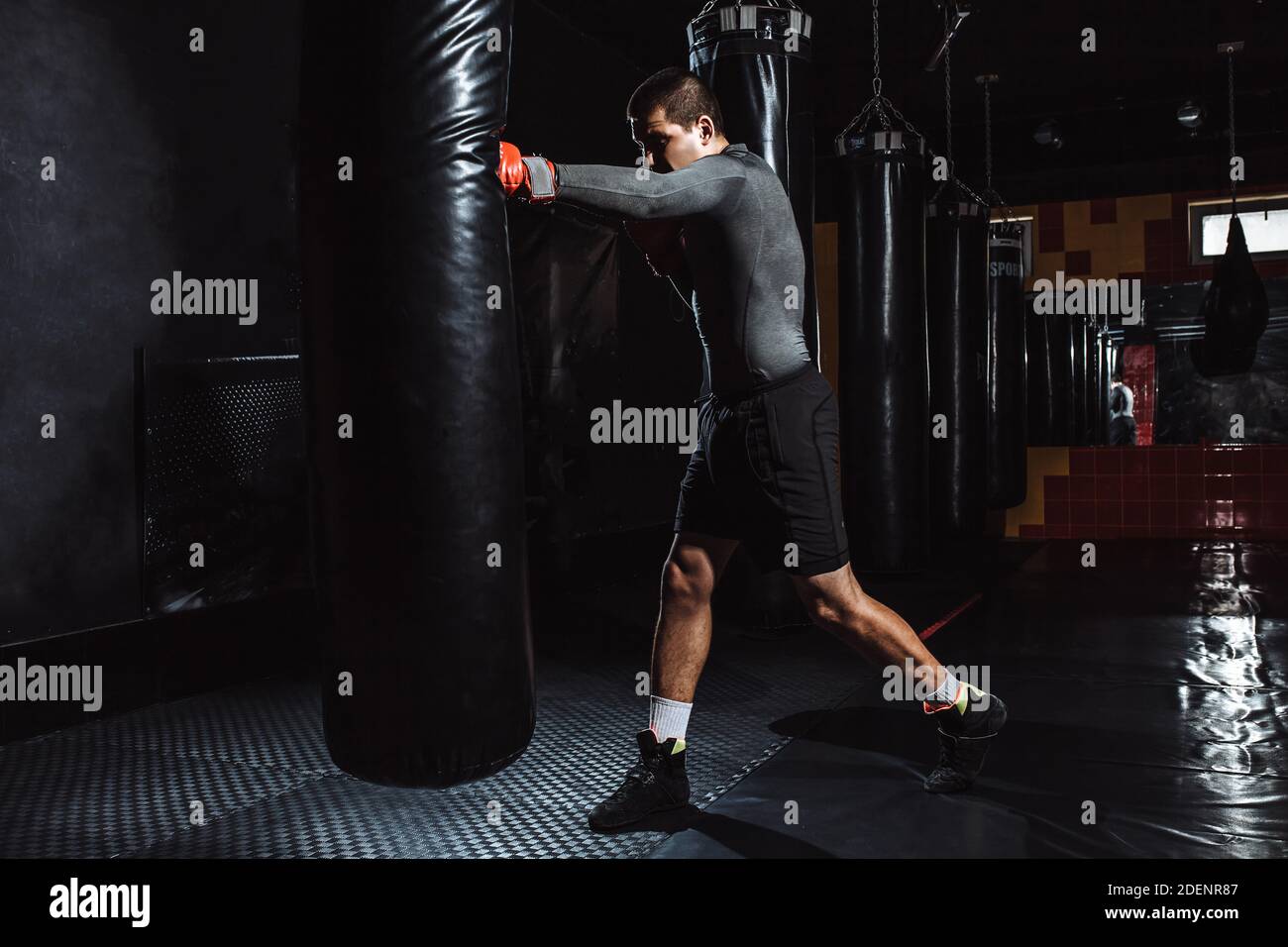 Boxer hits a speed bag in the gym Stock Photo - Alamy