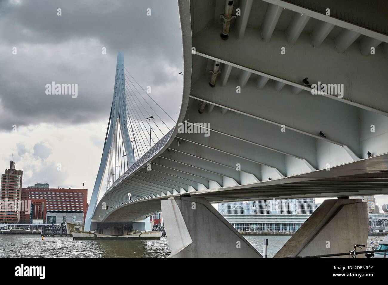 Rotterdam sightseeing near the center, bridge structure Stock Photo - Alamy