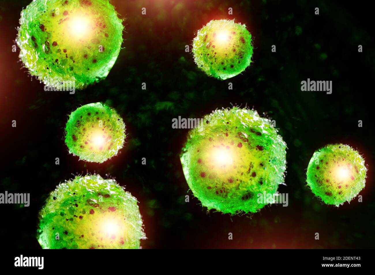 Green single cell chlorella algae microscopic conceptual 3D ...