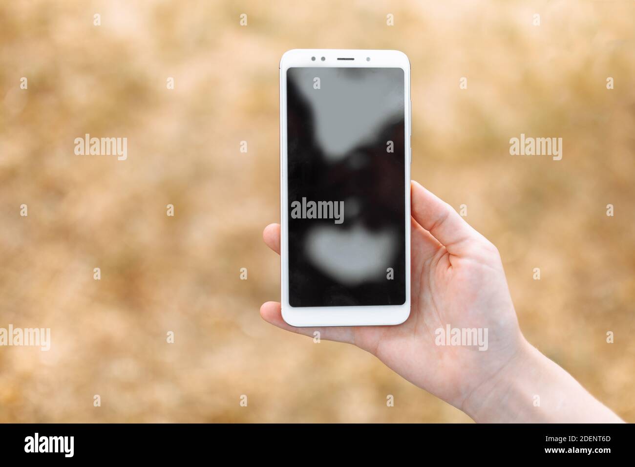 Close-up of hand holding phone on blurred Stock Photo - Alamy