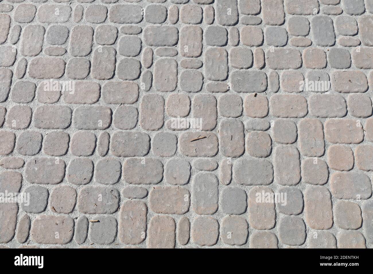 Paver pathway hi-res stock photography and images - Alamy