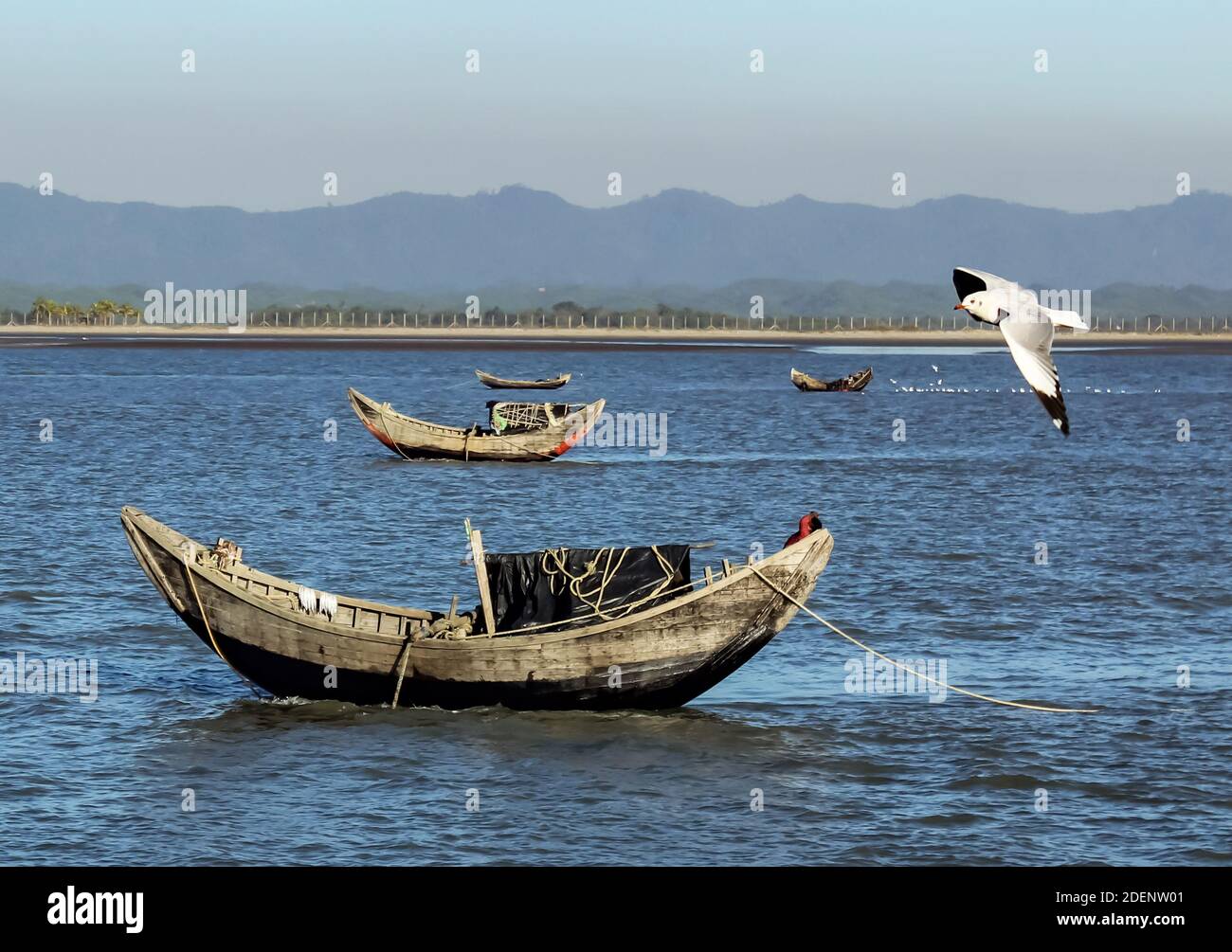 fishing boat in deep sea with flying bird Stock Photo - Alamy