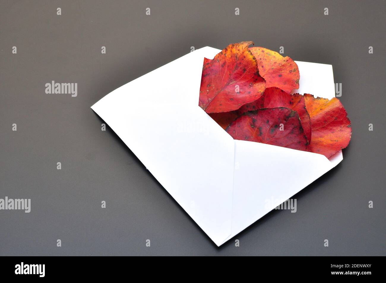 Paper vintage postage botany hi-res stock photography and images - Alamy