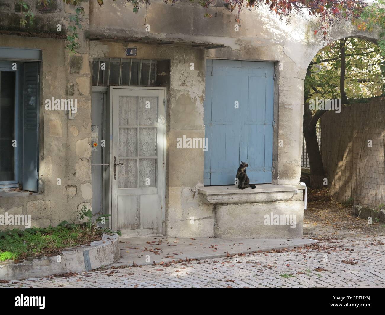 Cat on a window ledge in France Stock Photo - Alamy