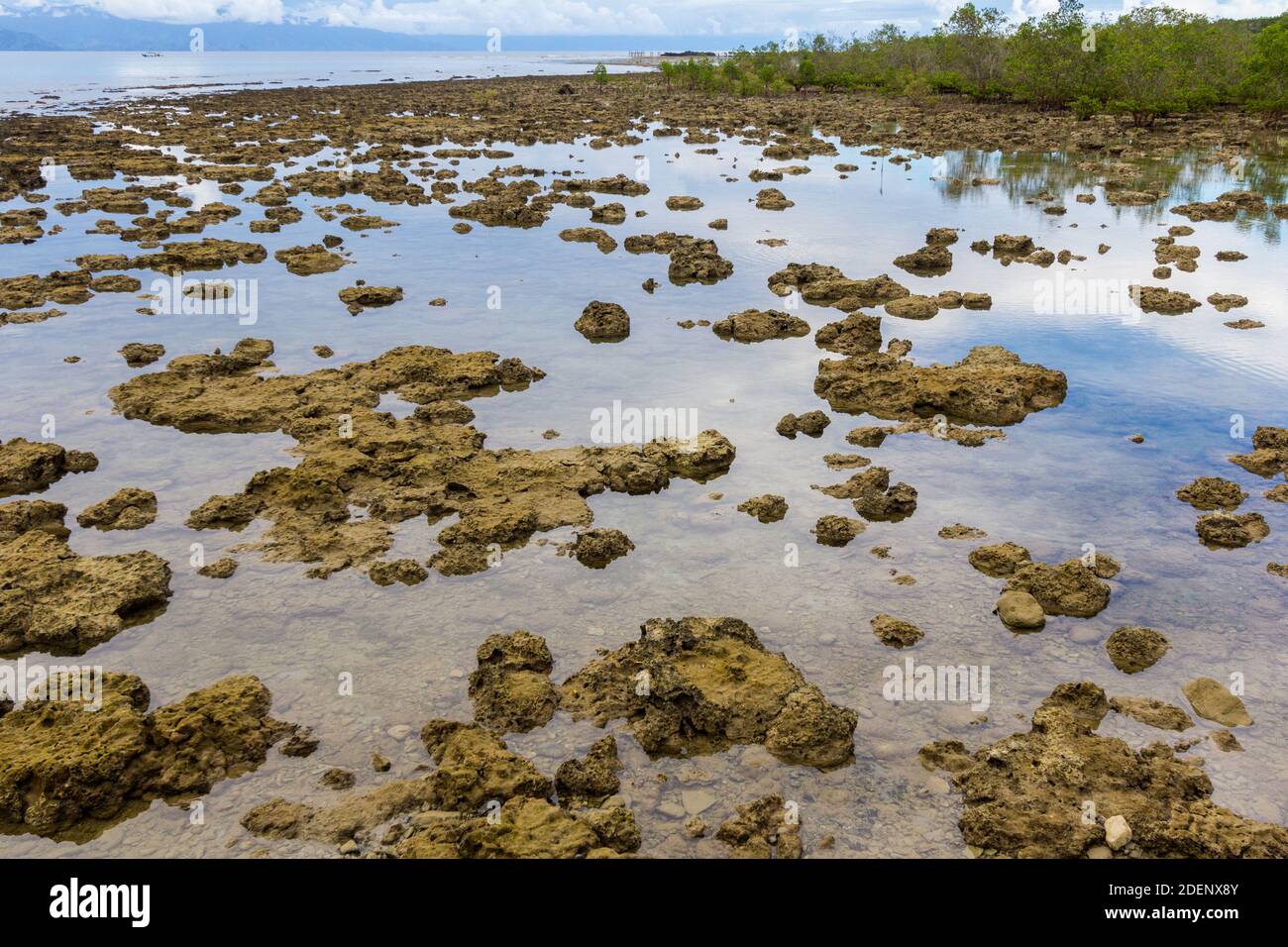 Beach in Baler, Philippines Stock Photo - Alamy