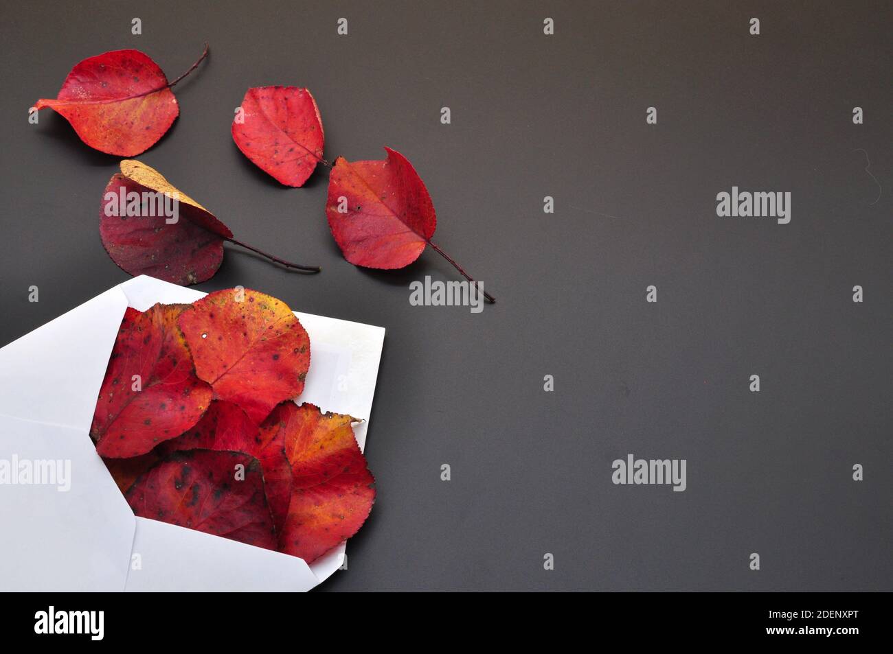 Paper vintage postage botany hi-res stock photography and images - Alamy