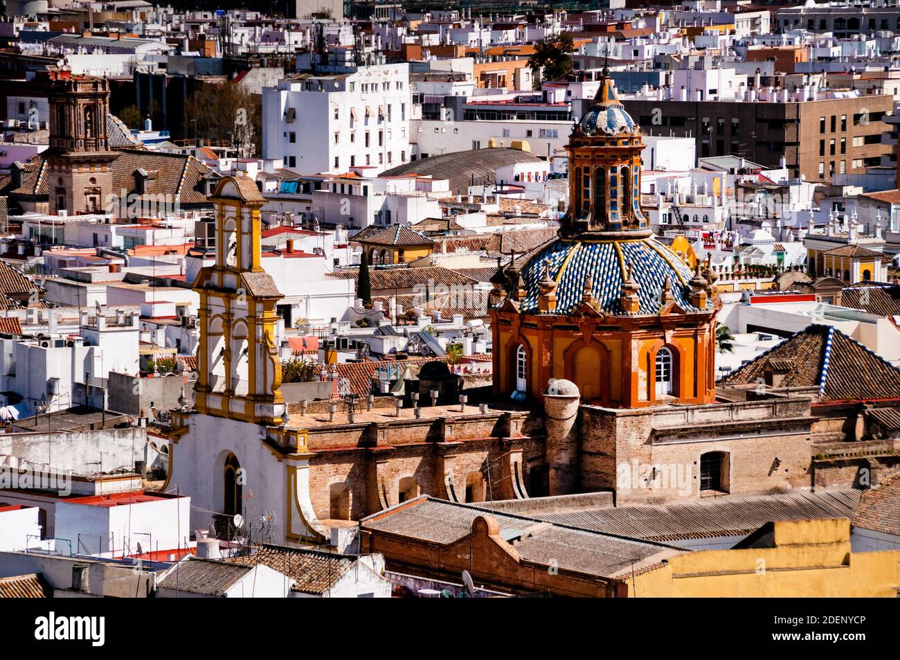 Baroque dome of Iglesia de Santa Cruz and Spanish style bell tower in ...