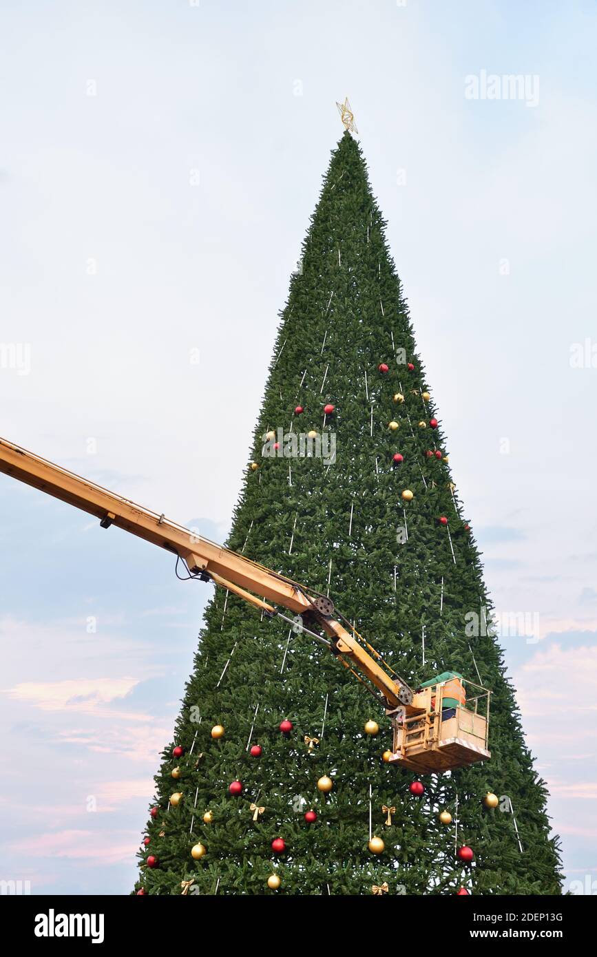 Installation of a christmas tree hi-res stock photography and images ...