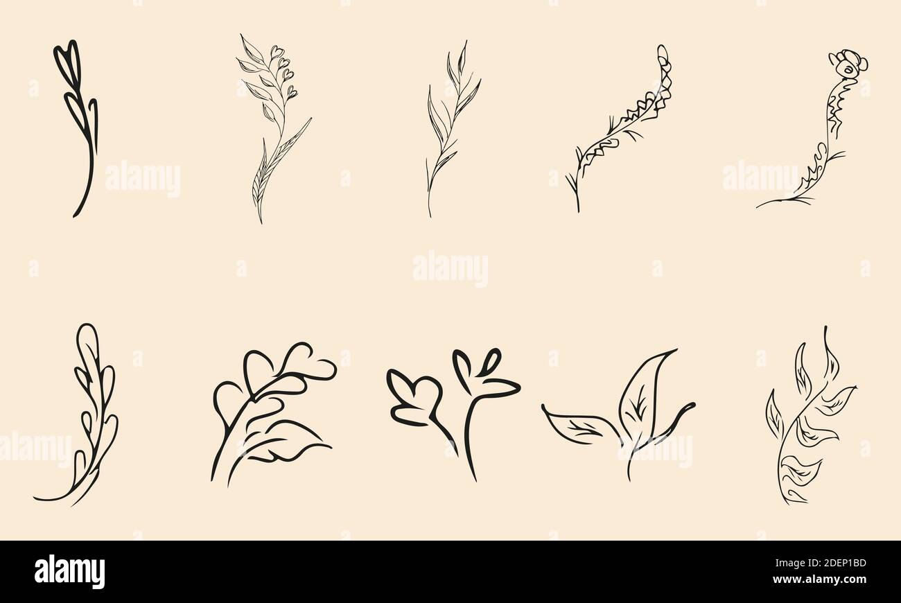 Doodle simple vector collection of 10 hand-drawn floral elements. Big ... Doodle simple vector collection of 10 hand-drawn floral elements. Big ...