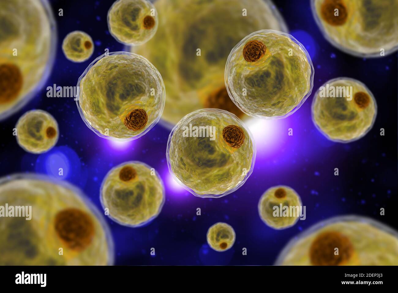 Healthy white human fat cells also known as adipocytes 3d illustration ...