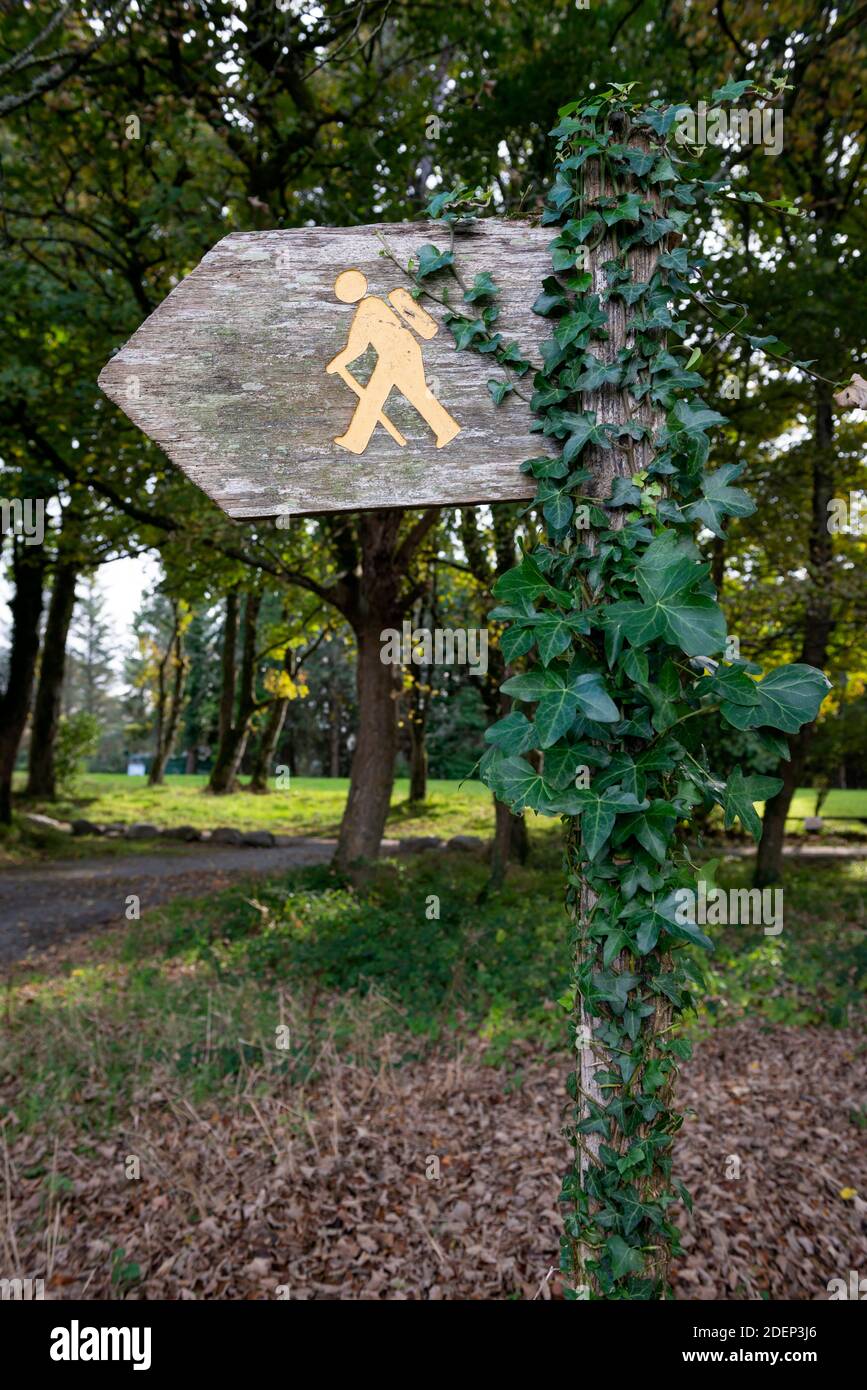 Wooden signpost depicting hiker in Killarney National Park, County ...