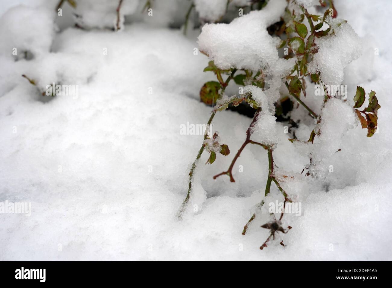 Temperature layer hi-res stock photography and images - Alamy